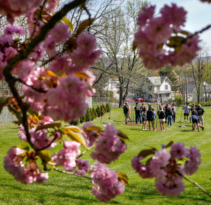 ‘A beautiful idea’: Remembrance garden for Max Engle begins to take ...